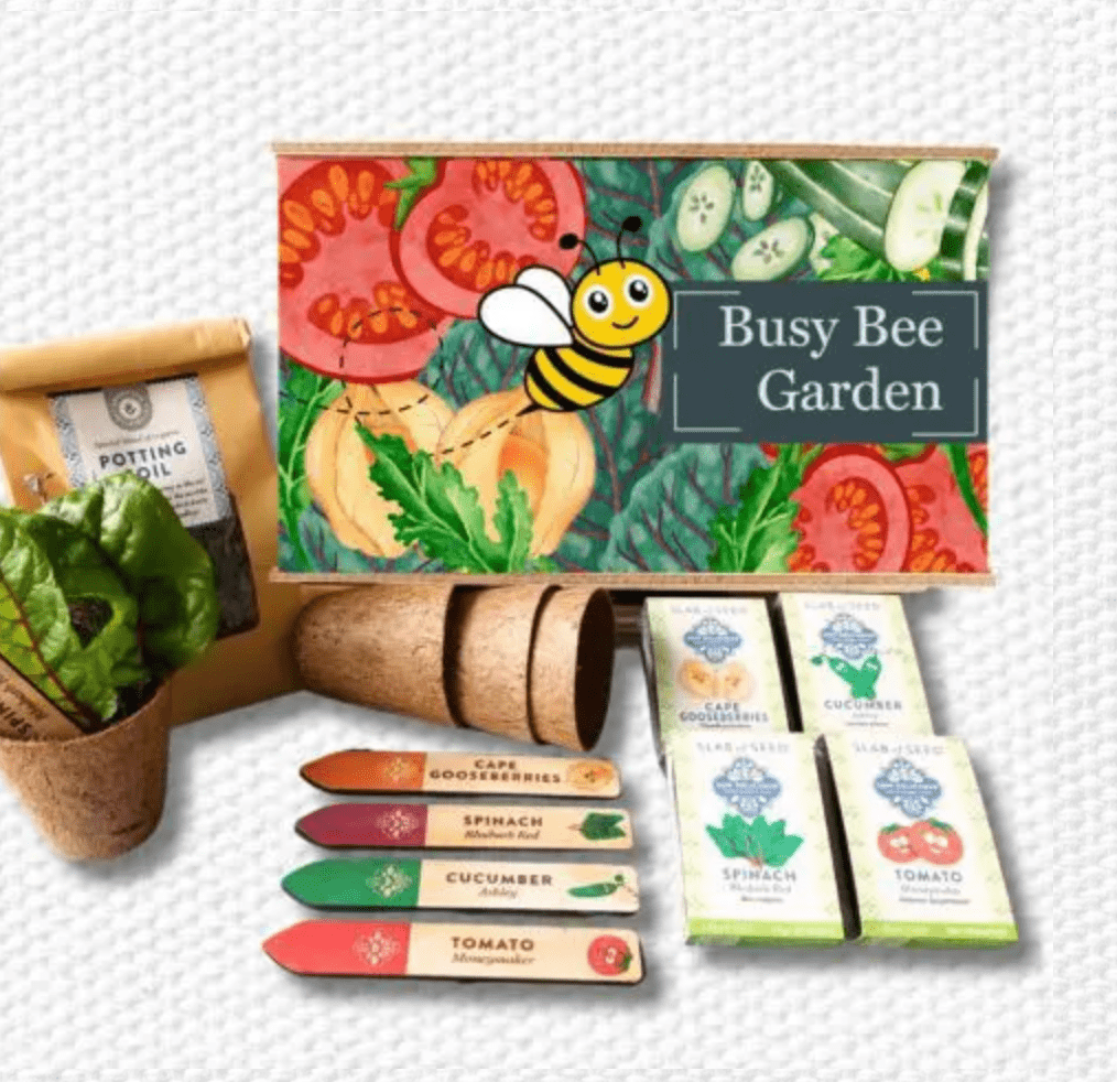 Start A Garden Busy Bee Box